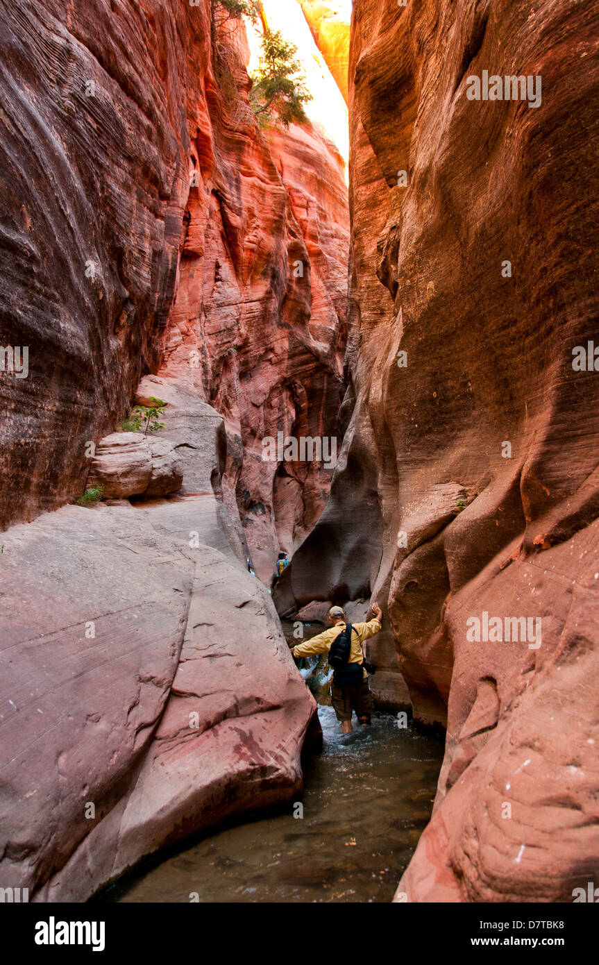 Stream erosion hi-res stock photography and images - Alamy