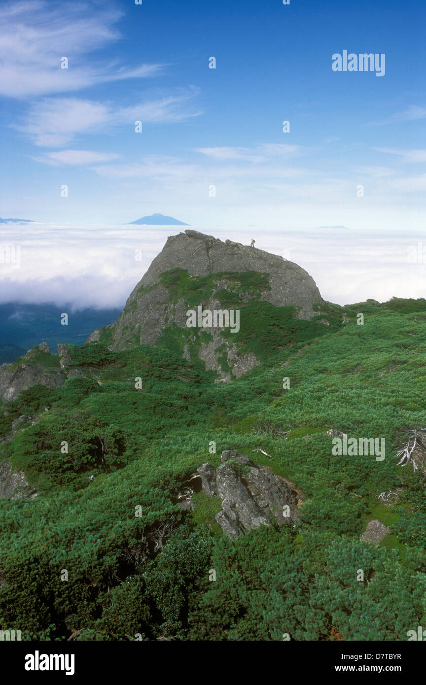 Single hiker atop Mendelev volcano. Tyatya volcano in background ...