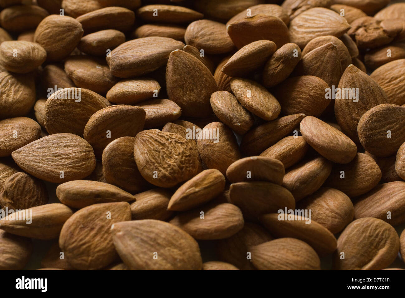 Apricot seeds (kernels) close up Stock Photo - Alamy