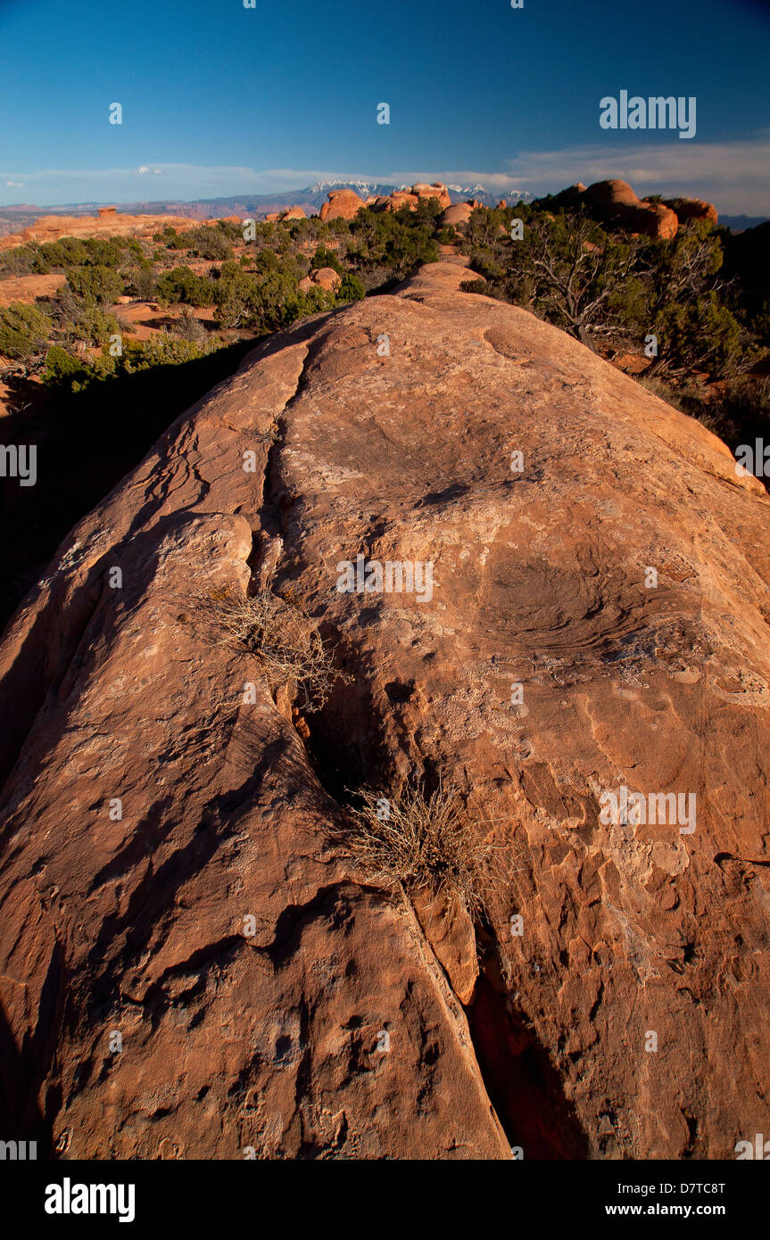 Rock fin hi-res stock photography and images - Alamy