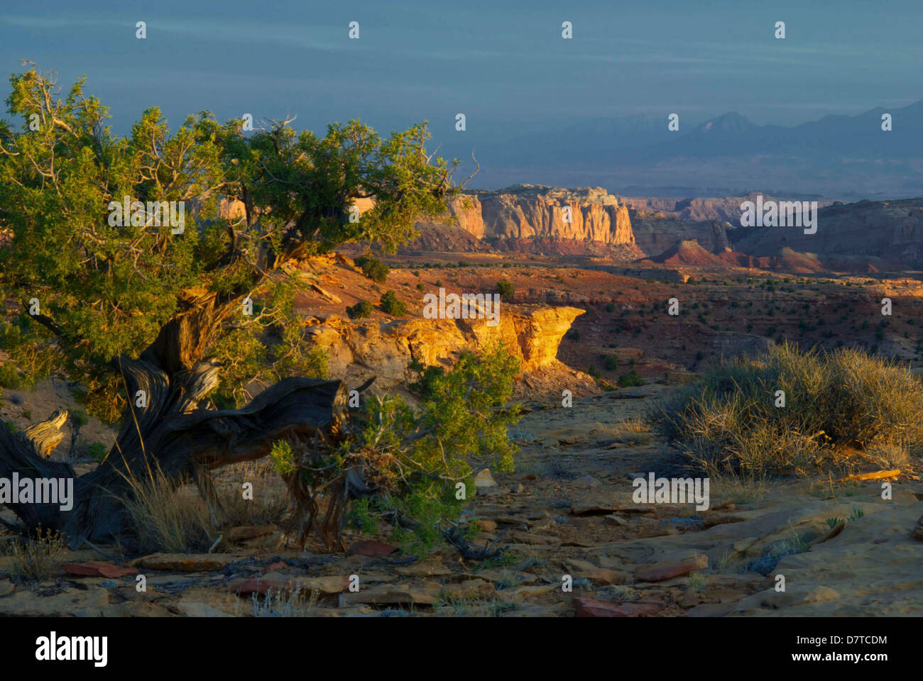 Desert landscape, San Rafael Reef, Utah Stock Photo - Alamy