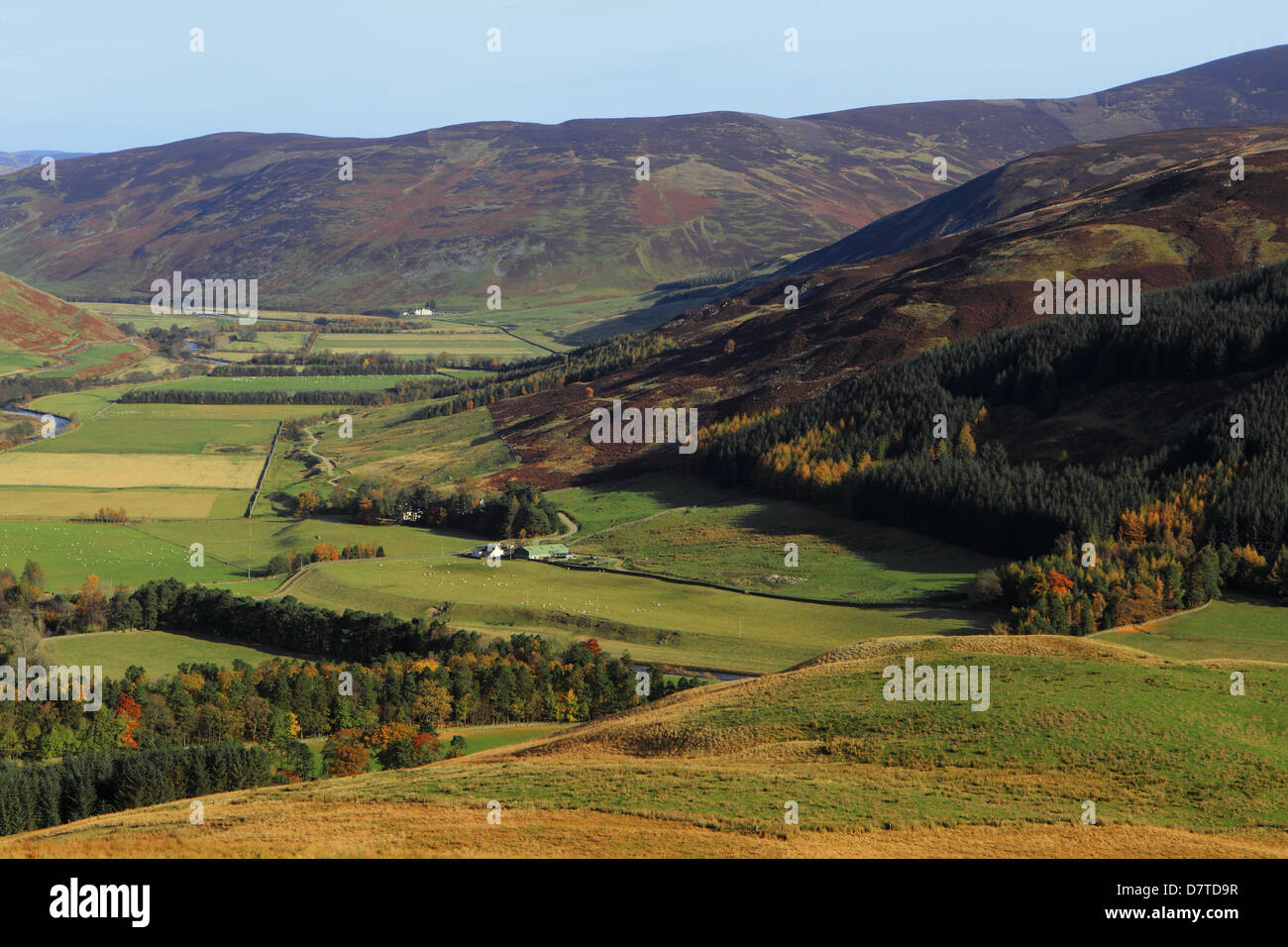 Upper Tweeddale Valley in the Scottish Borders Stock Photo - Alamy