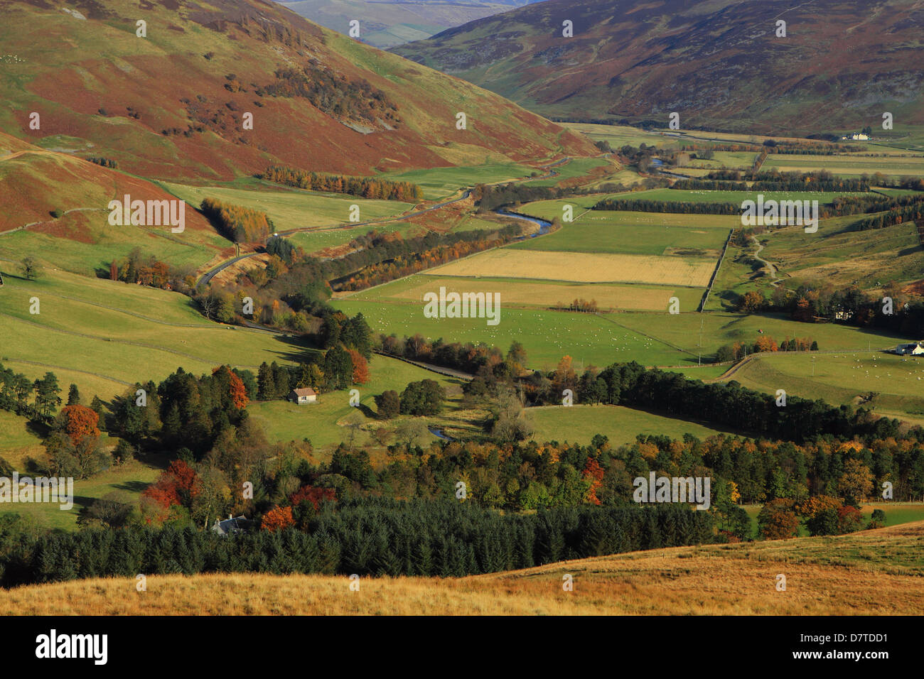 Upper tweeddale hi-res stock photography and images - Alamy
