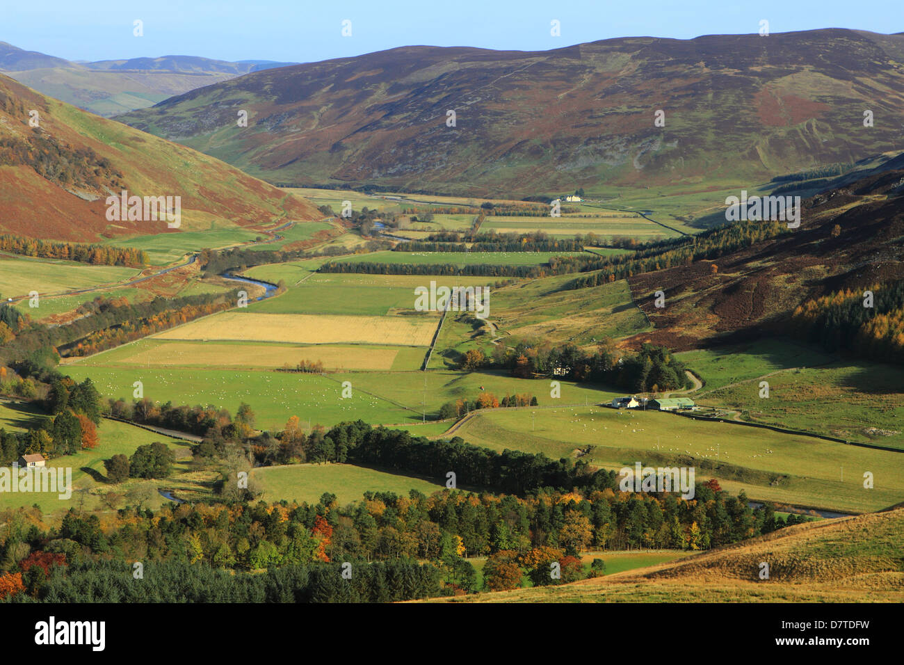 Upper Tweeddale Valley in the Scottish Borders Stock Photo - Alamy