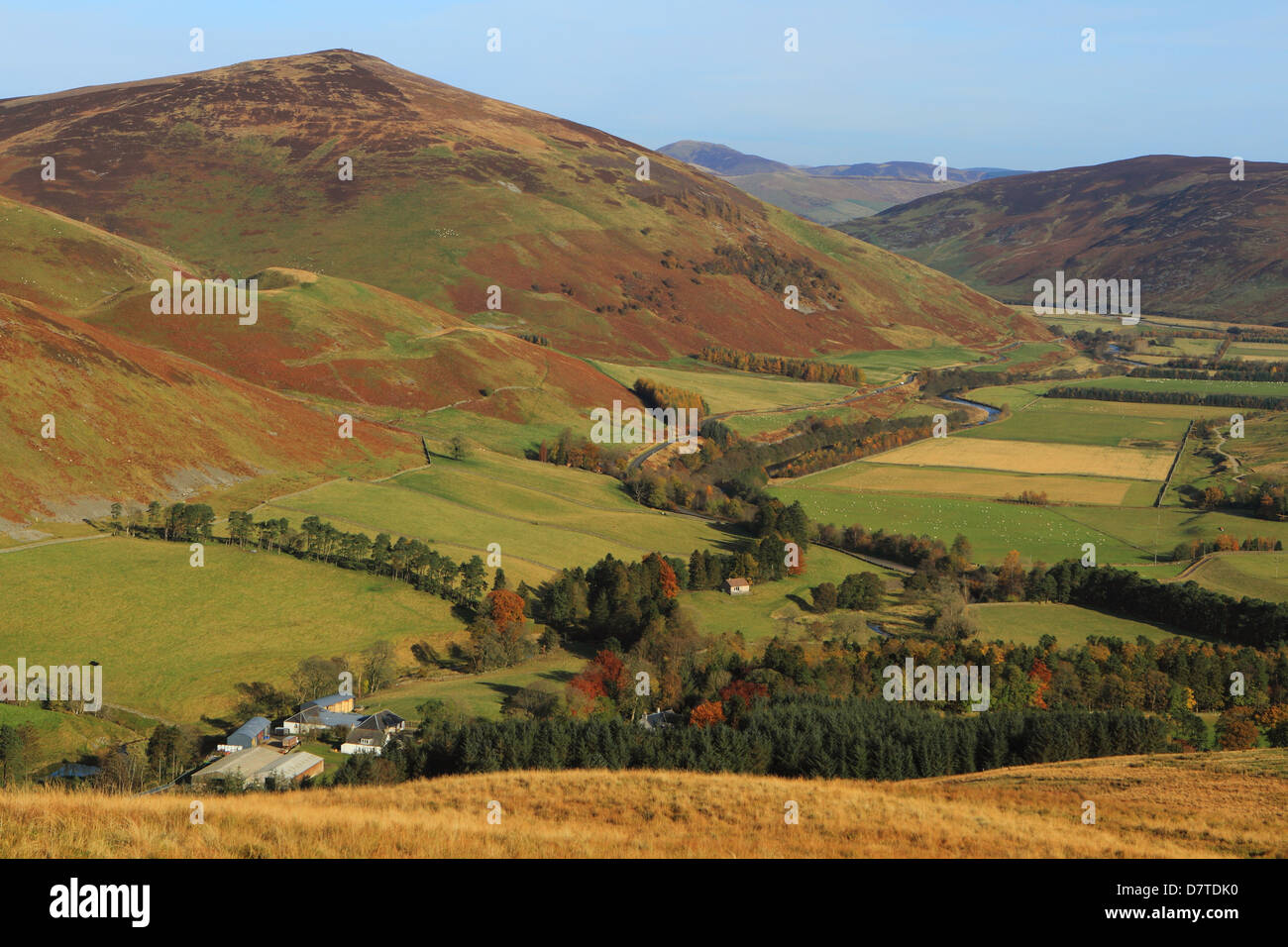 Upper Tweeddale Valley in the Scottish Borders Stock Photo - Alamy