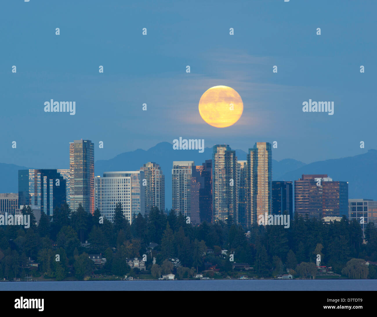 WA, Bellevue, Full moon raising over downtown skyline Stock Photo - Alamy