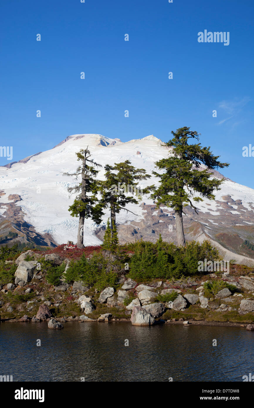 USA, Washington State, Mount Baker National Recreation Area, Park Butte ...