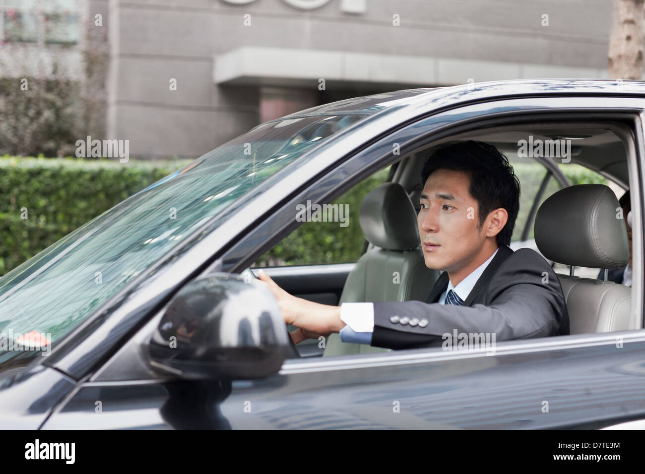 Businessman Driving Car Stock Photo - Alamy
