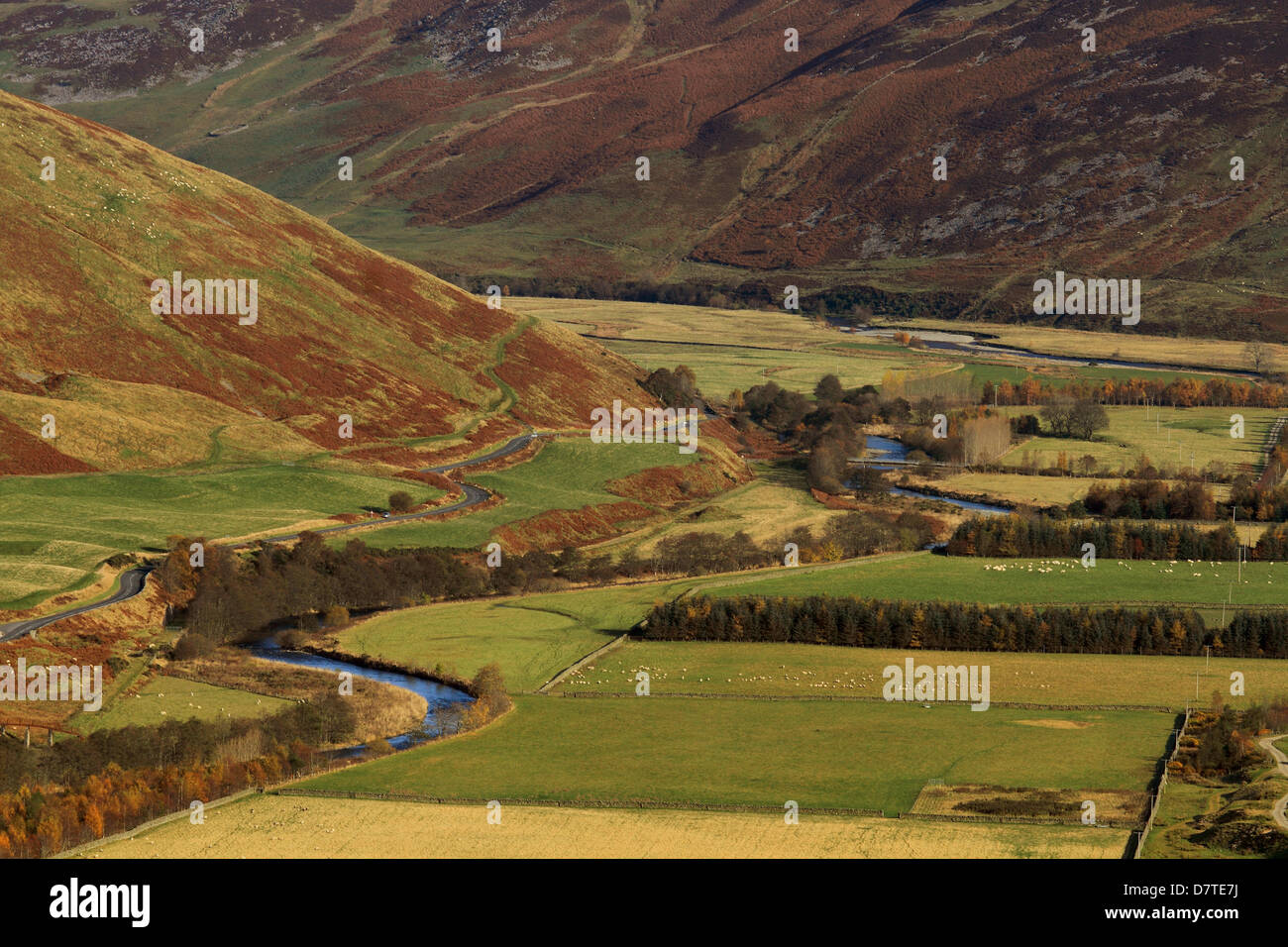 Upper tweeddale hi-res stock photography and images - Alamy