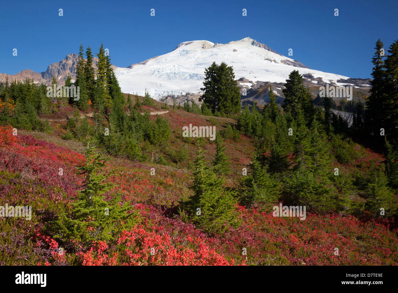 USA, Washington State, Mount Baker National Recreation Area, Park Butte ...