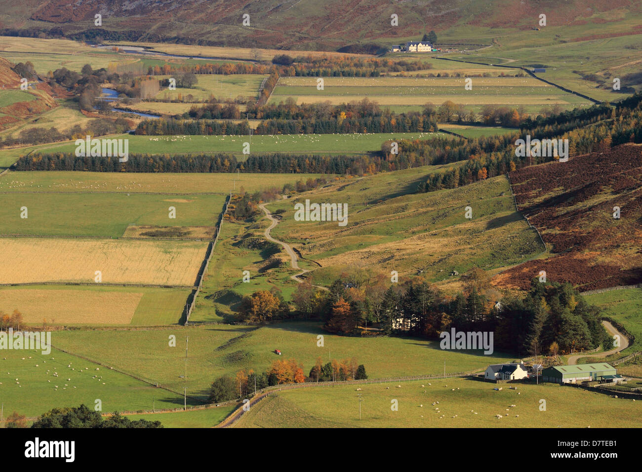 Upper Tweeddale Valley in the Scottish Borders Stock Photo - Alamy