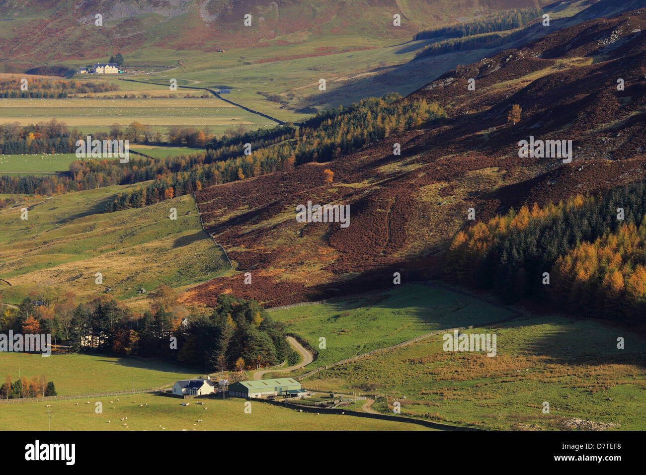 Upper tweeddale hi-res stock photography and images - Alamy