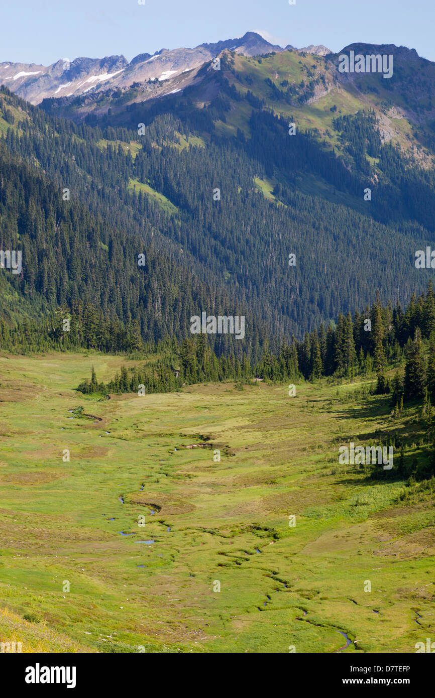 USA, Washington State, Henry M. Jackson Wilderness, Meander Meadow ...