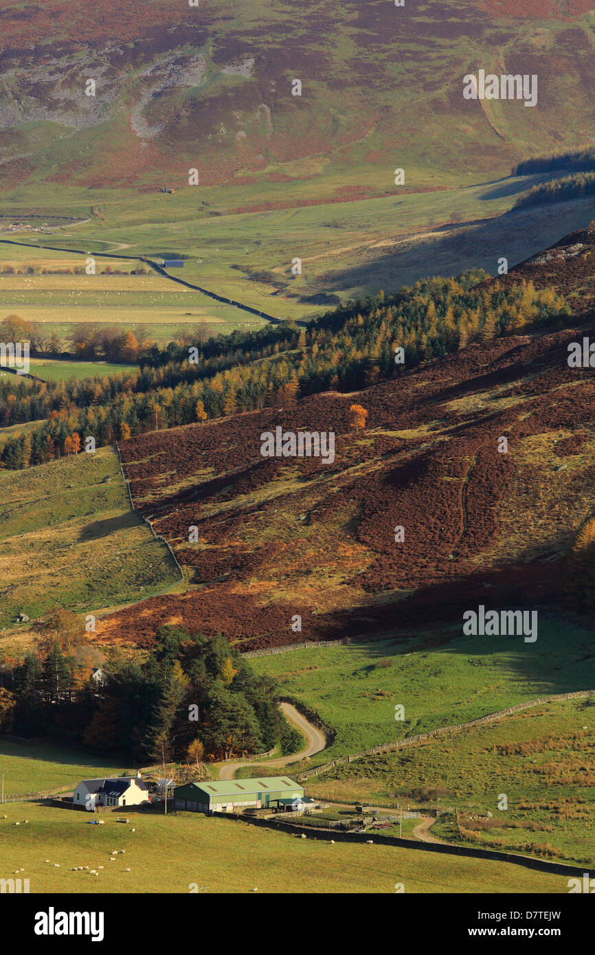 Upper Tweeddale Valley in the Scottish Borders Stock Photo - Alamy