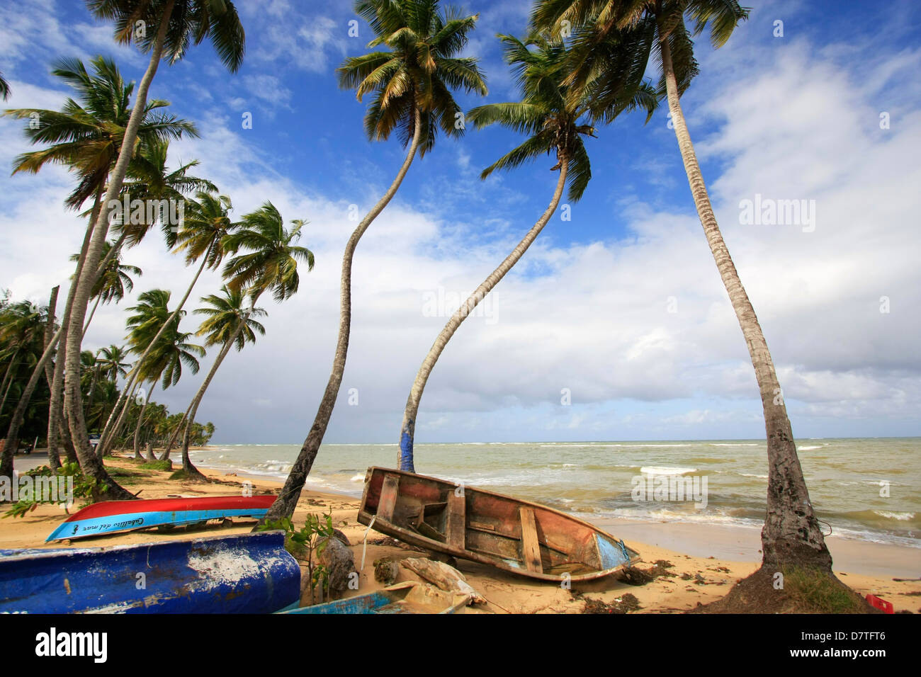 Las Terrenas beach, Samana peninsula, Dominican Republic Stock Photo ...