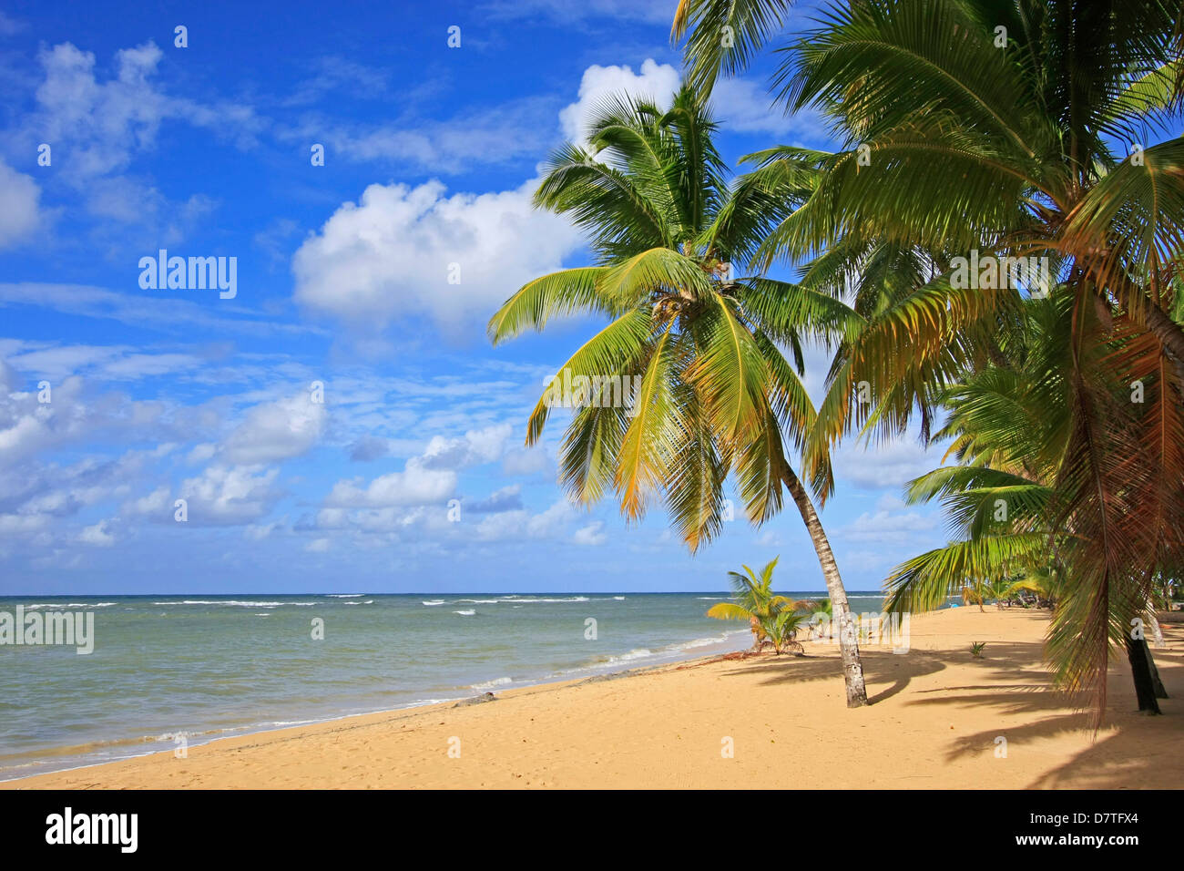 Las Terrenas beach, Samana peninsula, Dominican Republic Stock Photo ...