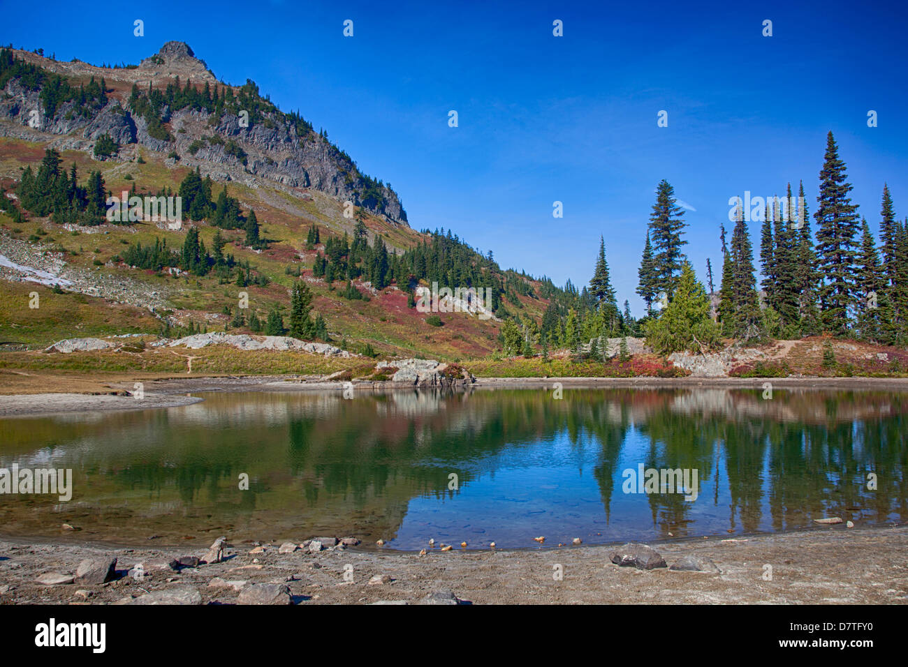 USA, Washington State, Mount Rainier National Park, Alpine tarn along ...