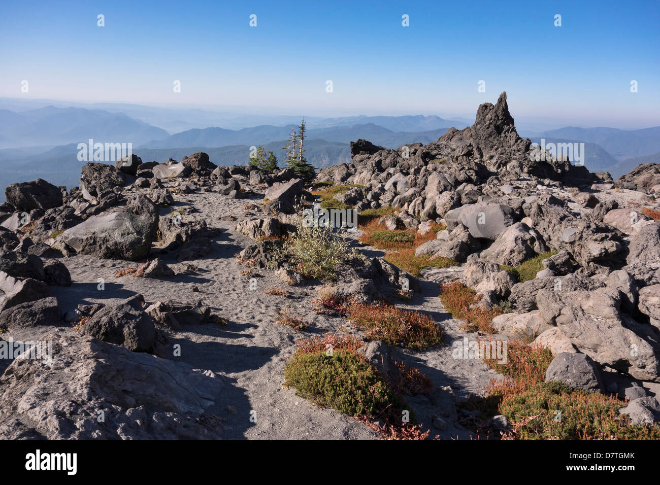 Washington. Mount Saint Helens Monitor Ridge Trail Stock Photo - Alamy