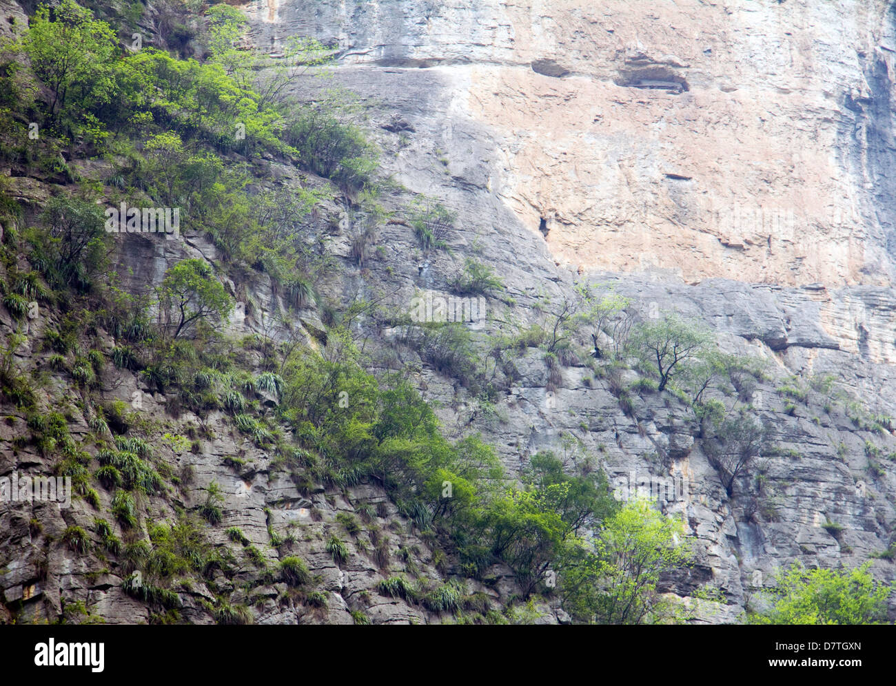 Hanging coffins china yangtze river hi-res stock photography and images ...