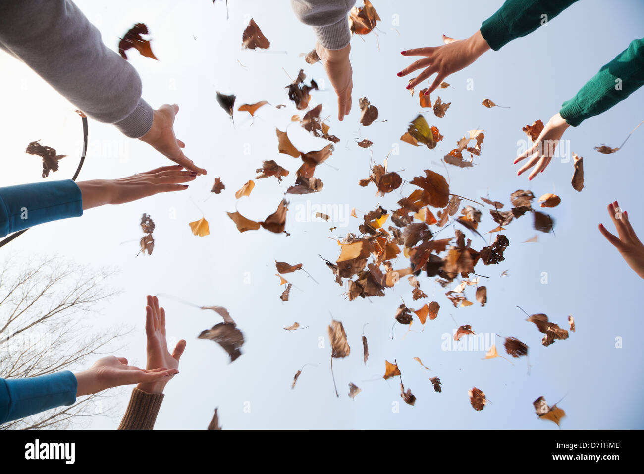 Group of young people throwing leaves Stock Photo - Alamy
