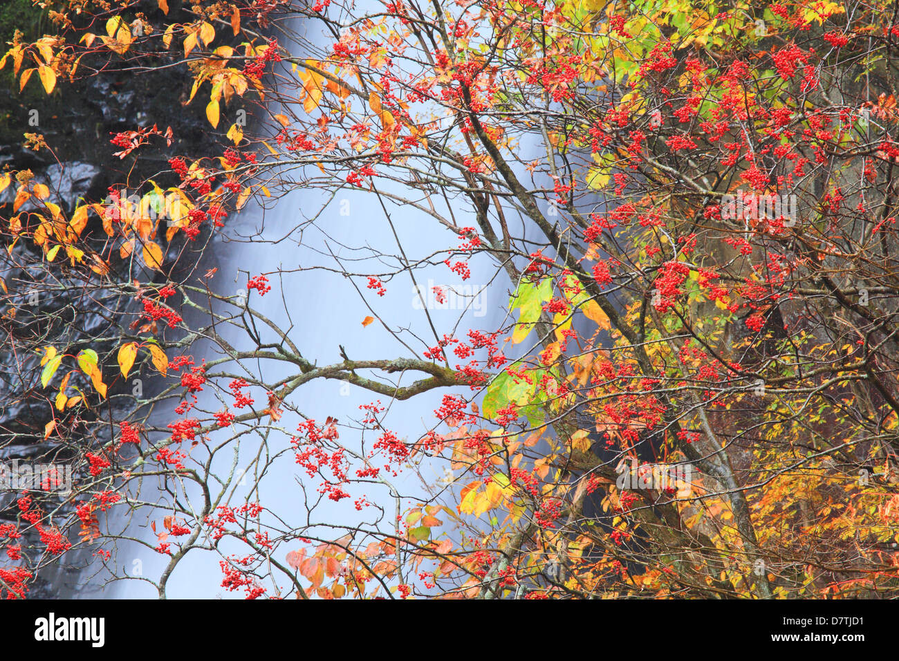 Choshi hi-res stock photography and images - Alamy