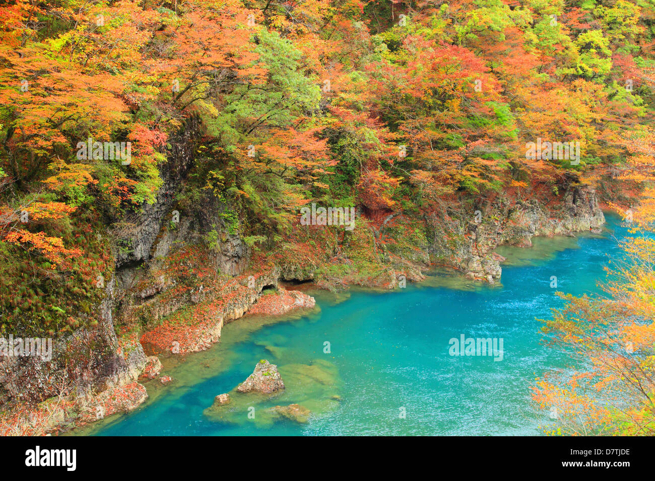 Tamagawa river bridge hi-res stock photography and images - Alamy