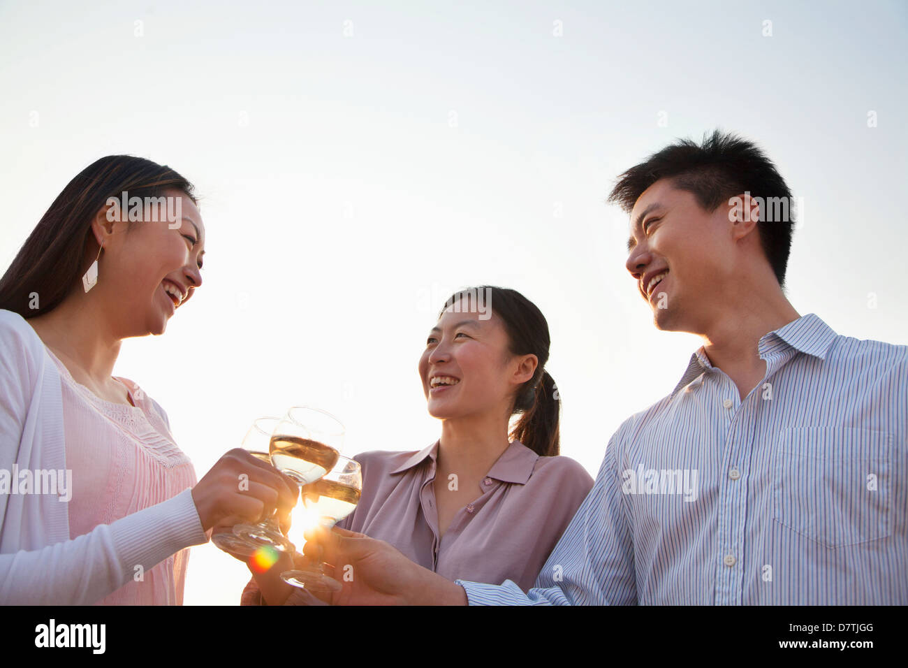 Group of Friends Toasting Each Other on Rooftop at Sunset Stock Photo ...
