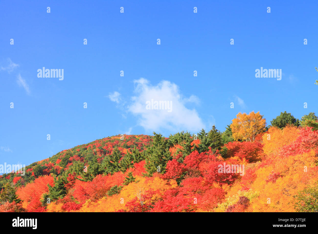 Tengu garden hi-res stock photography and images - Alamy