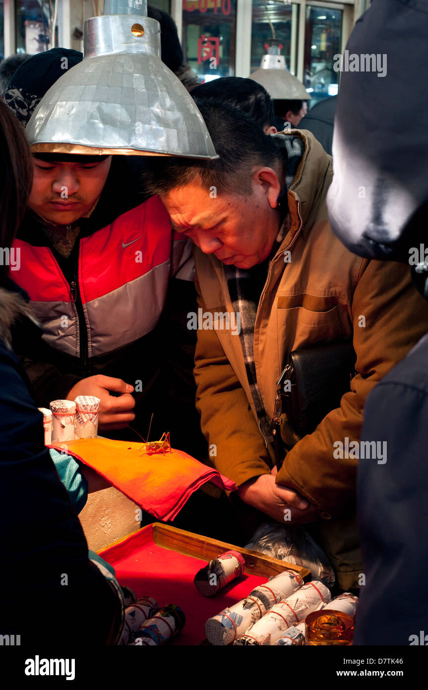 Insect market china hi-res stock photography and images - Alamy
