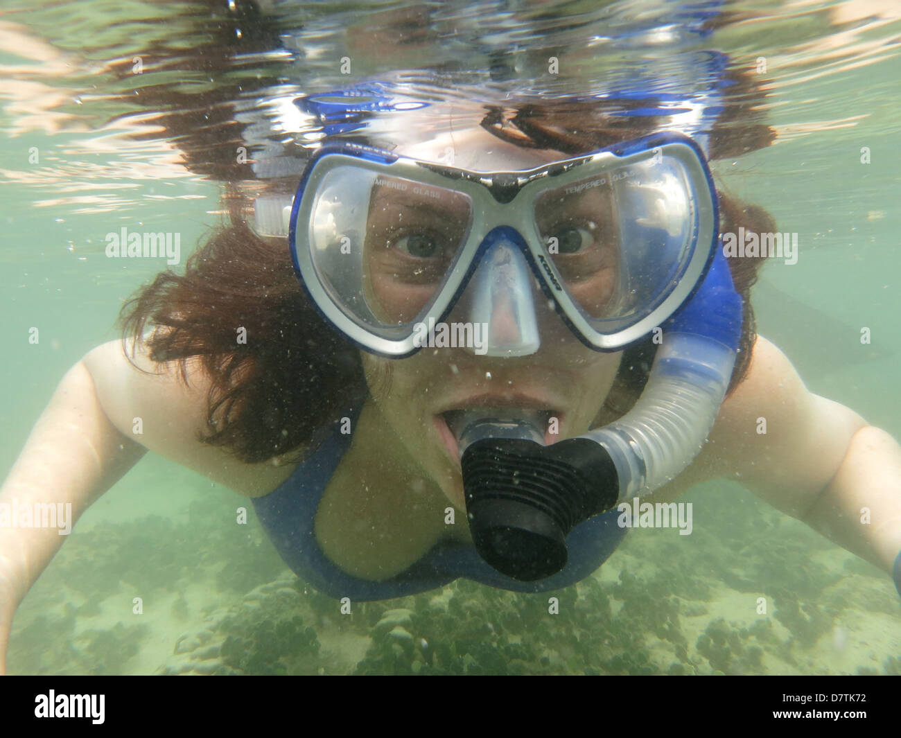 A female snorkeler, Koh Tao, Thailand Stock Photo - Alamy