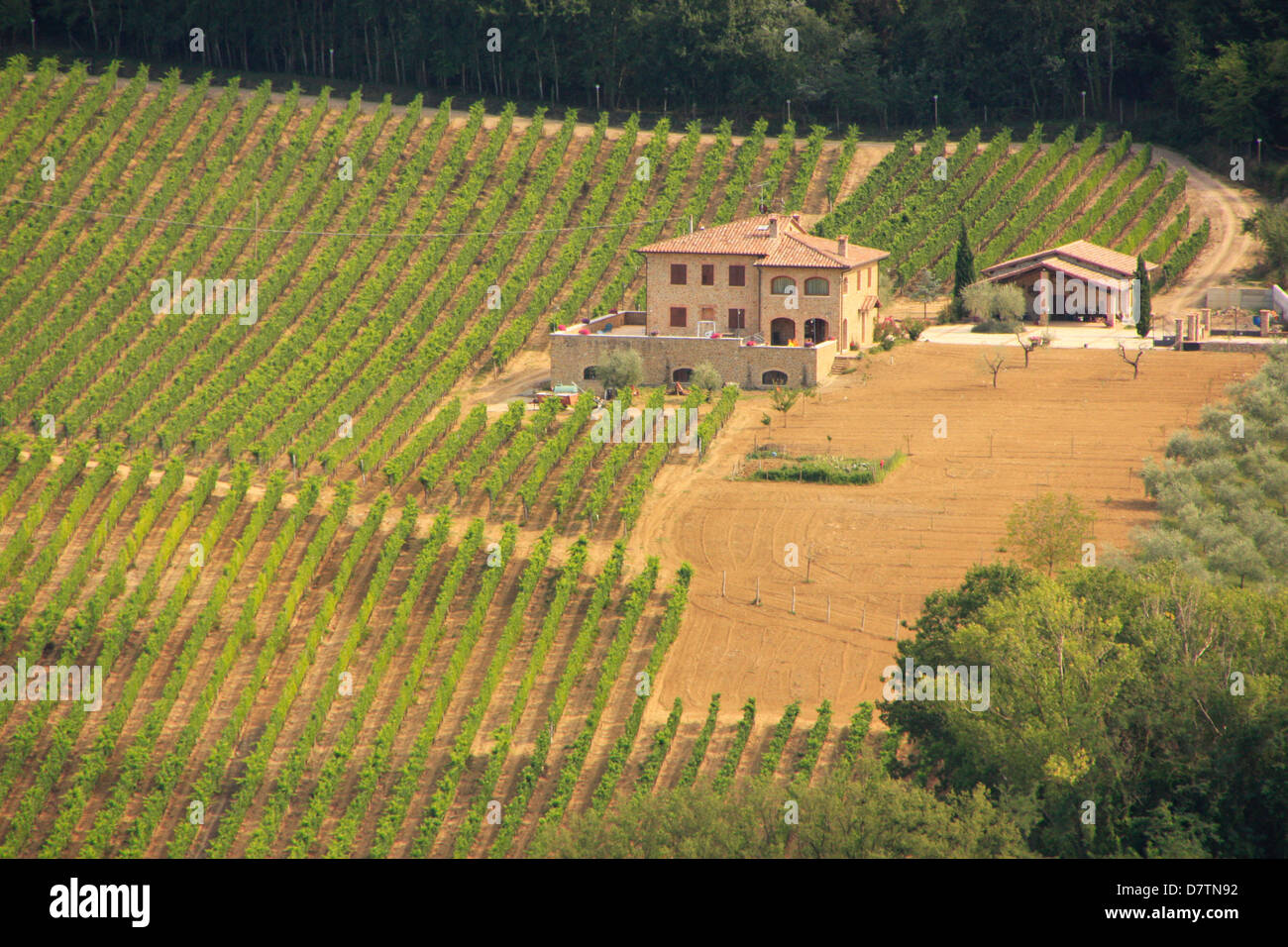 Country scene, Tuscany, Italy Stock Photo - Alamy