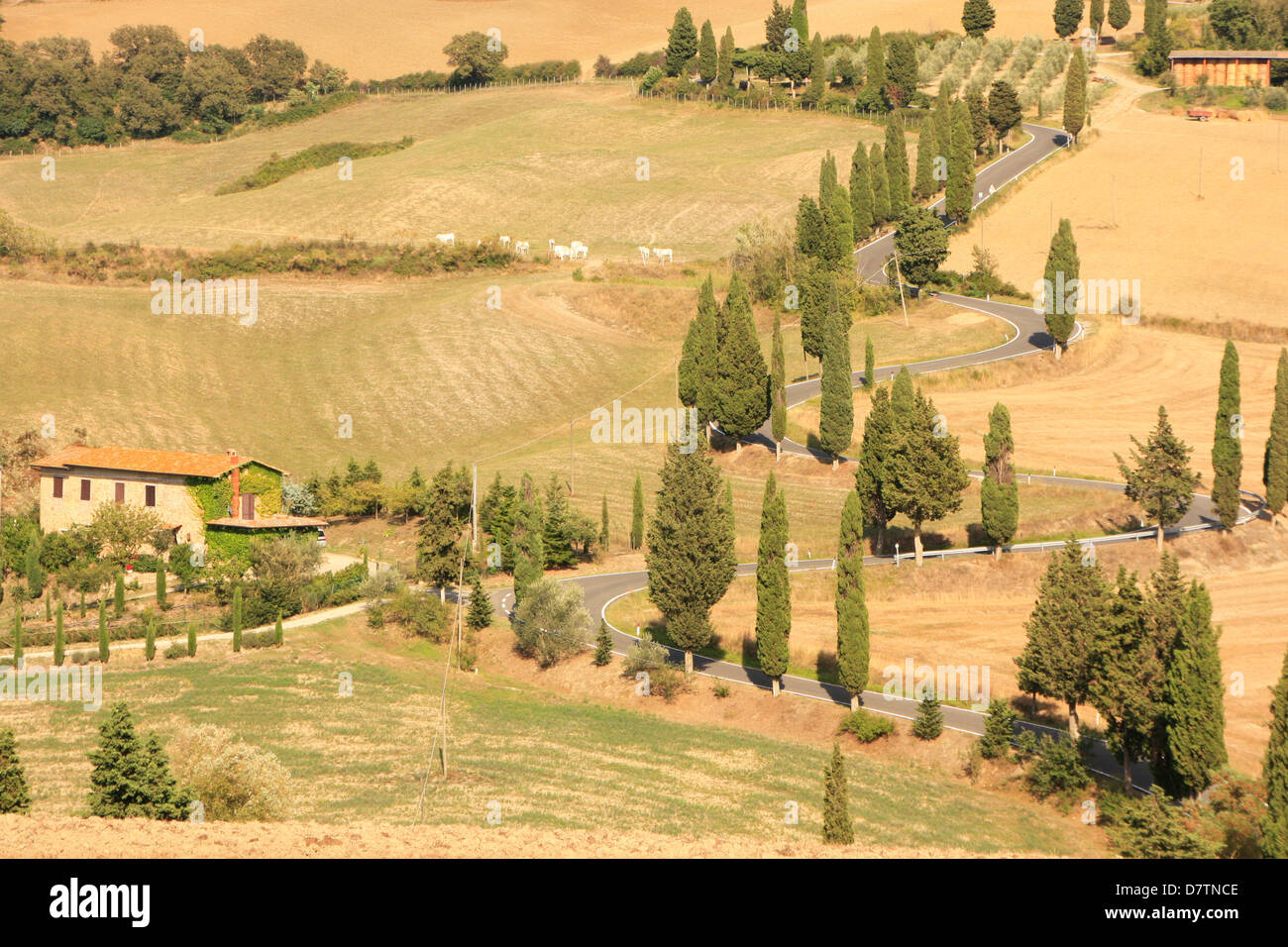 Country scene, Tuscany, Italy Stock Photo - Alamy