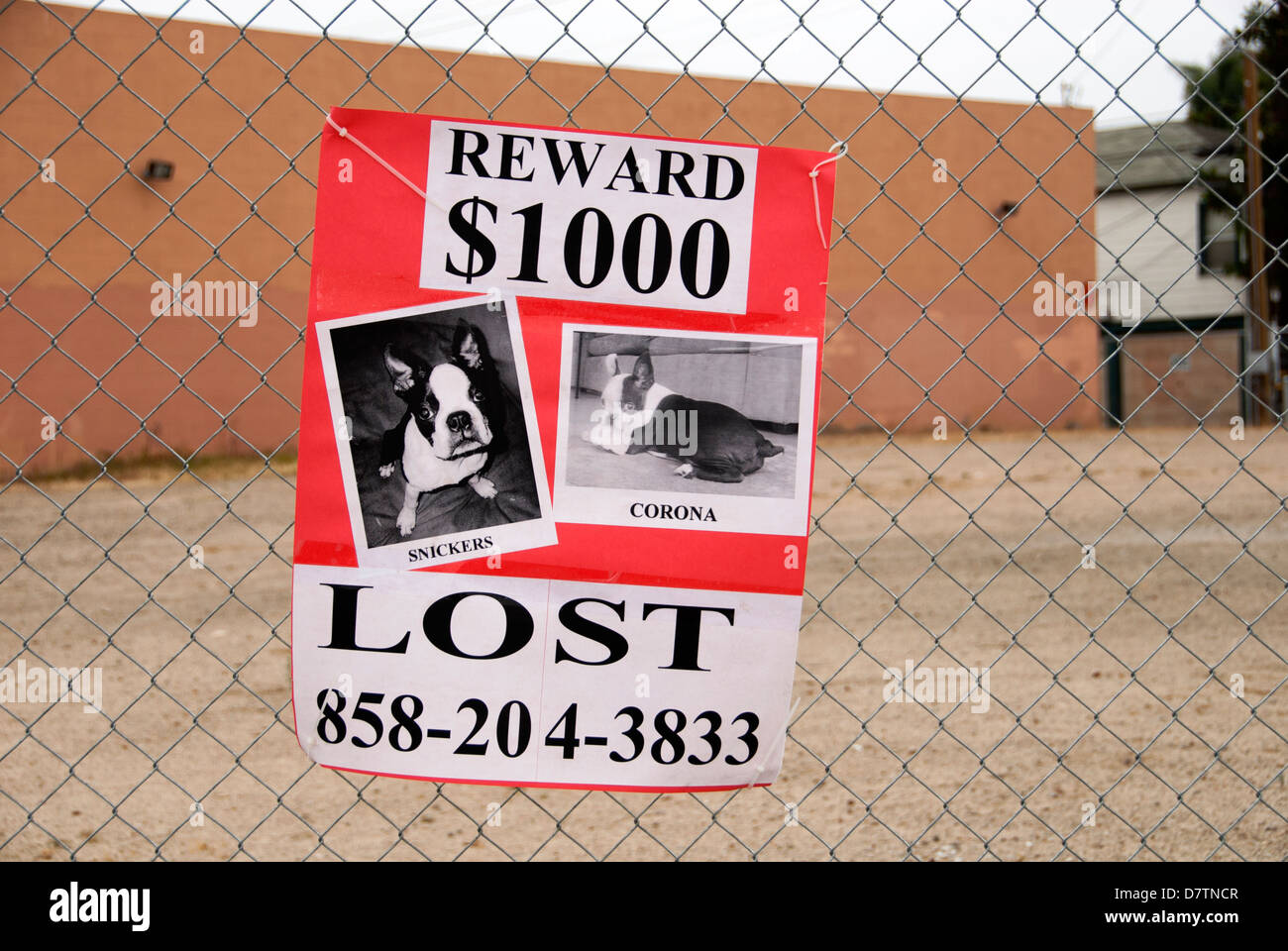 Poster for missing dog hi-res stock photography and images - Alamy