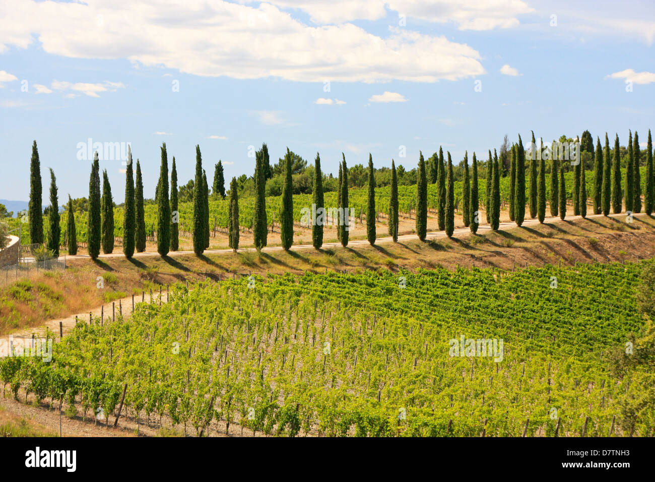 Country scene, Tuscany, Italy Stock Photo - Alamy