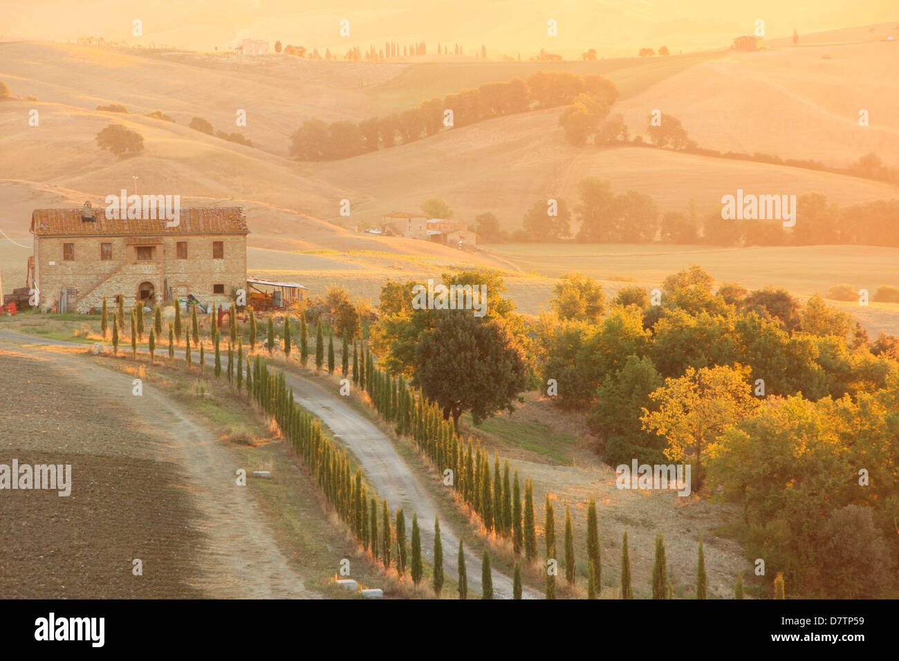 Country scene, Tuscany, Italy Stock Photo - Alamy