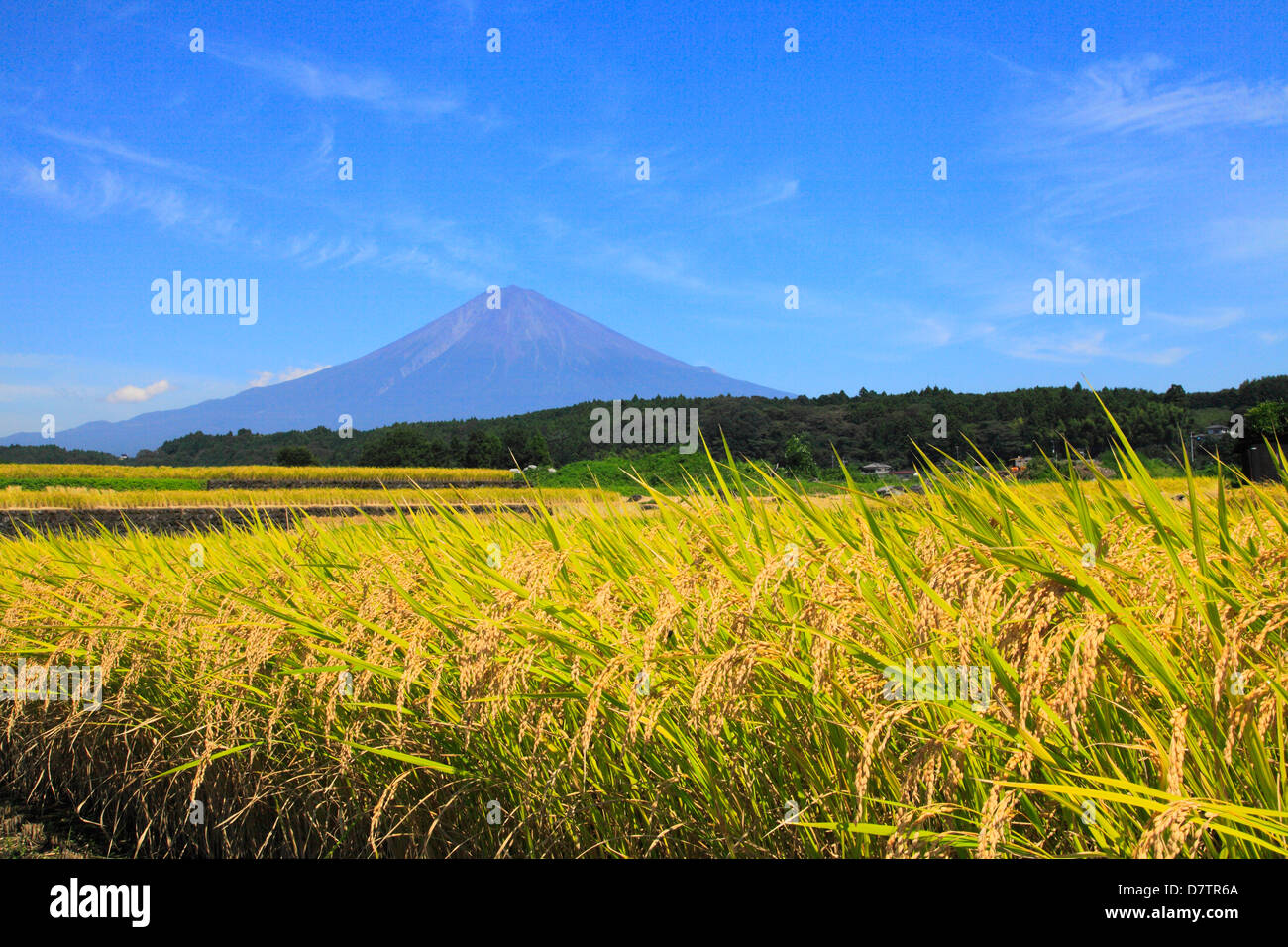 Mount Rice High Resolution Stock Photography and Images - Alamy