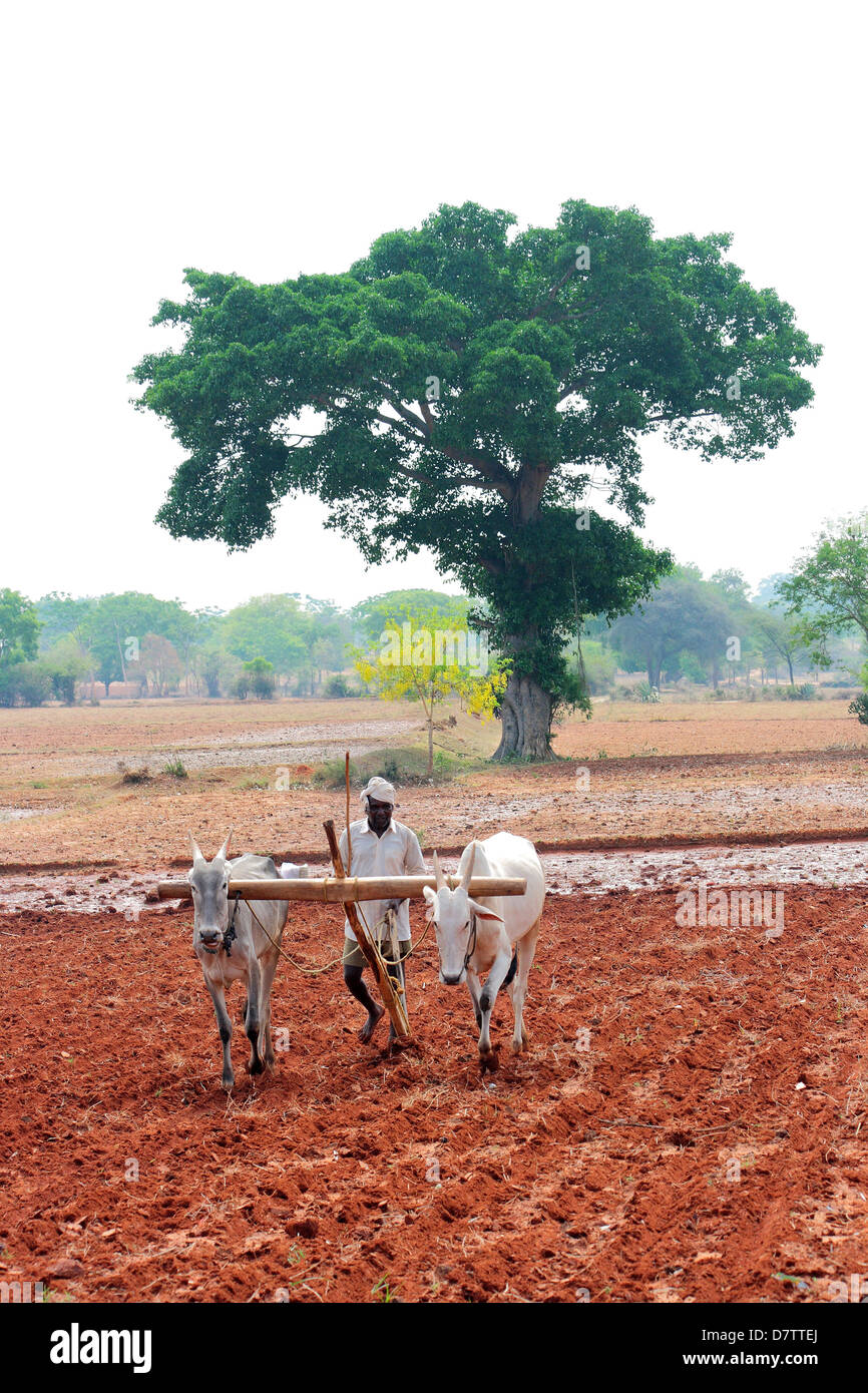Farmer plowing field hi-res stock photography and images - Alamy