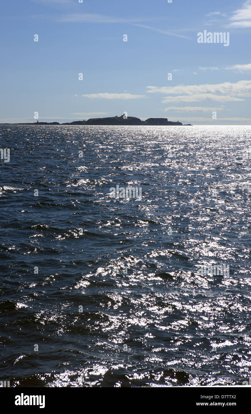 Isle of May in the Firth of Forth in Scotland Stock Photo - Alamy