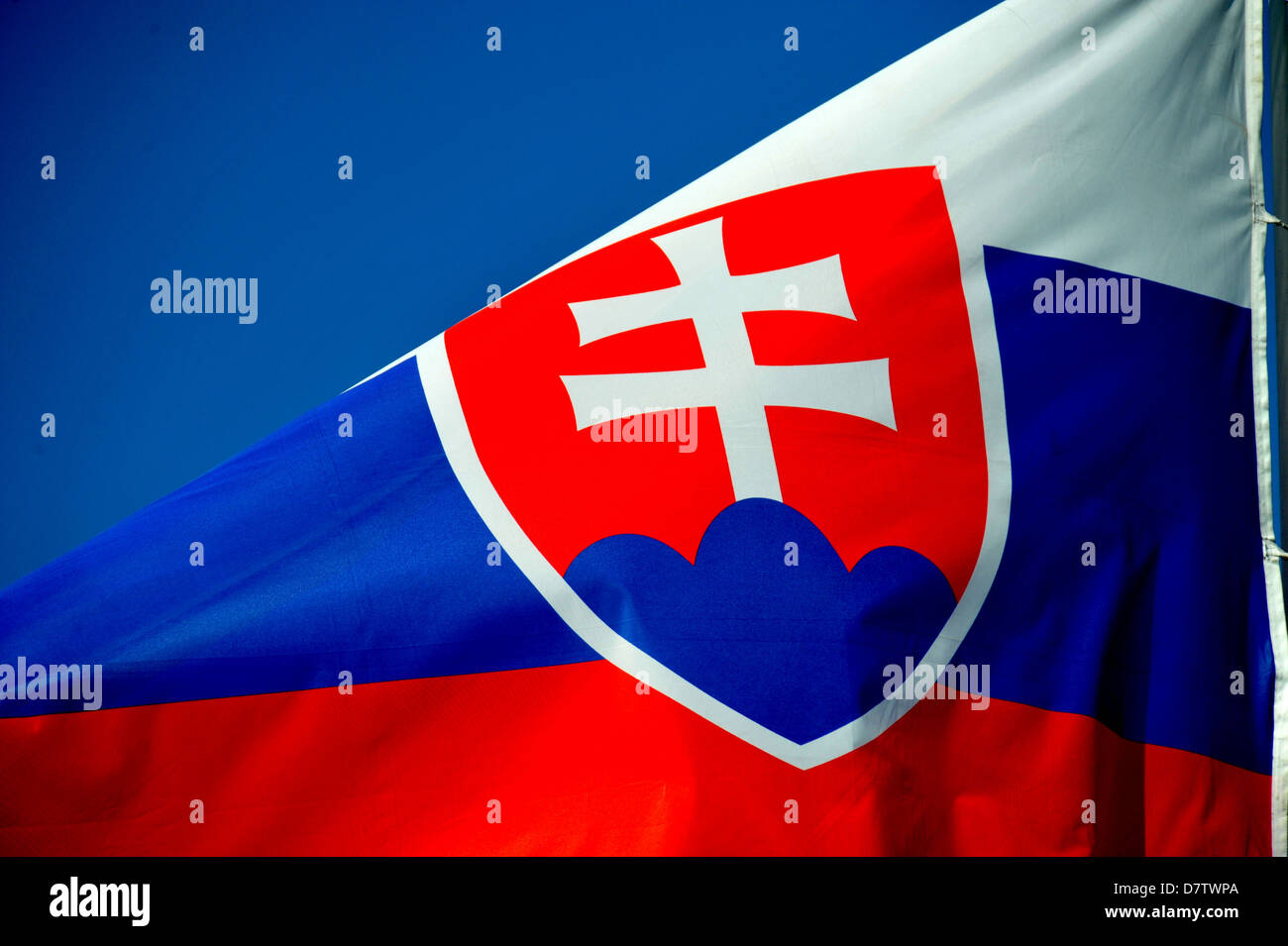 Slovak flag, Slovakia Stock Photo - Alamy