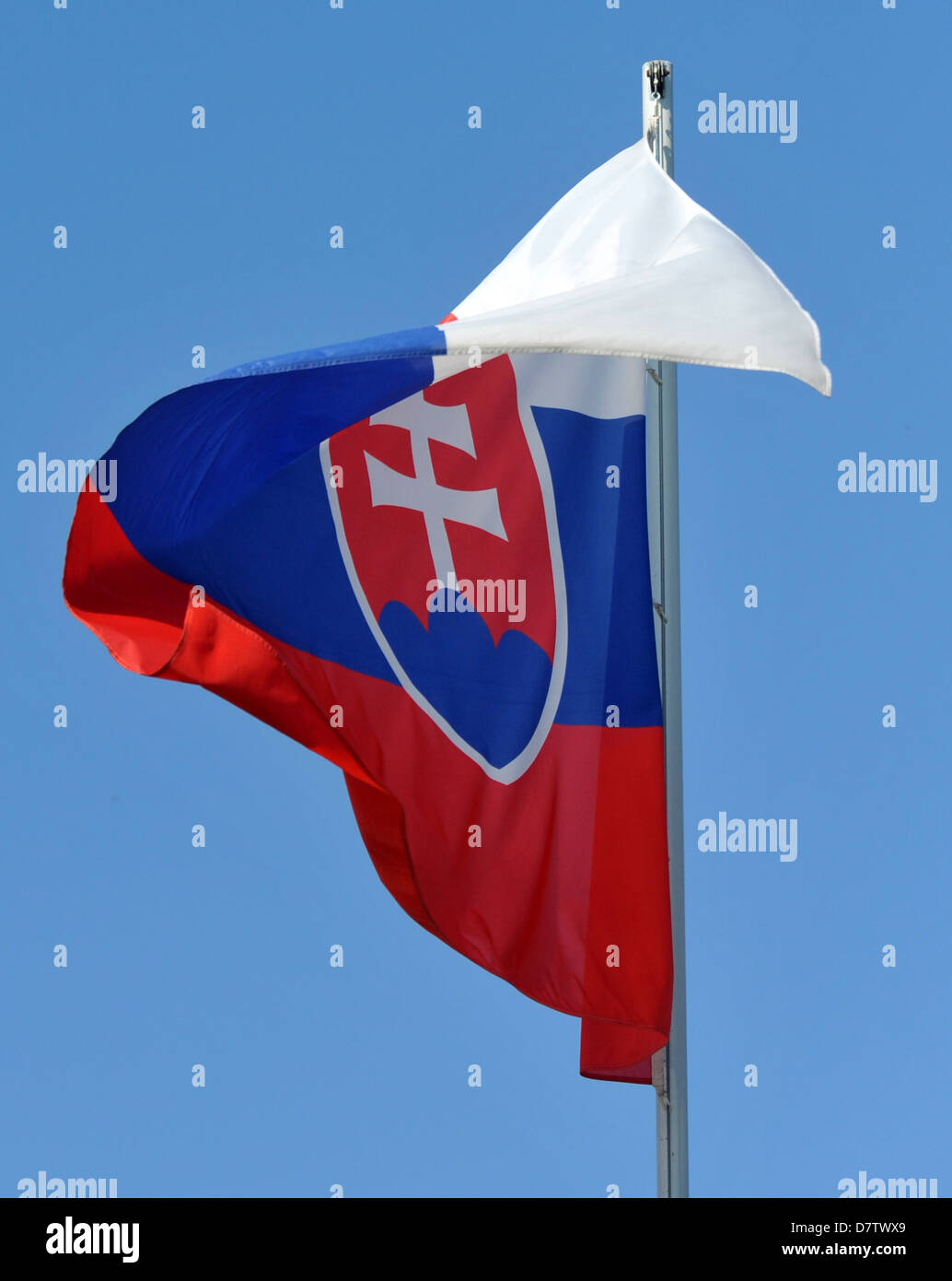Slovak flag, Slovakia Stock Photo - Alamy