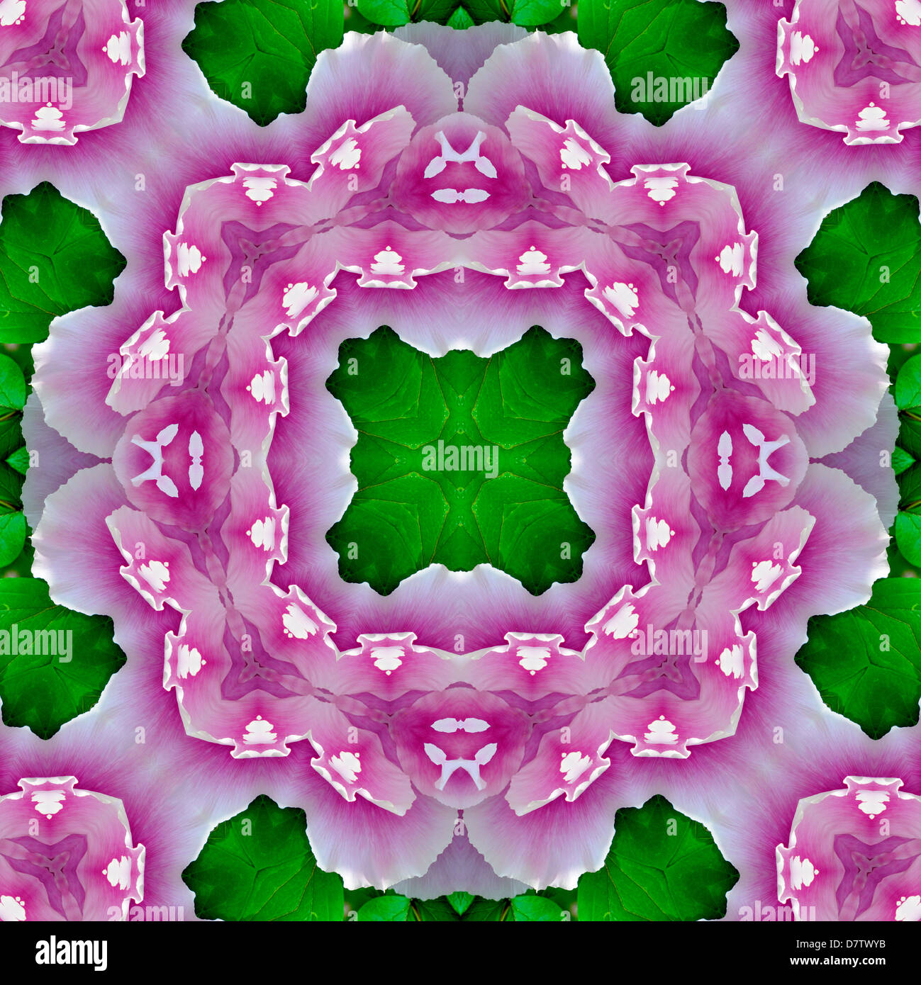 Repeated pattern made from image of Pink Peony flower Stock Photo - Alamy