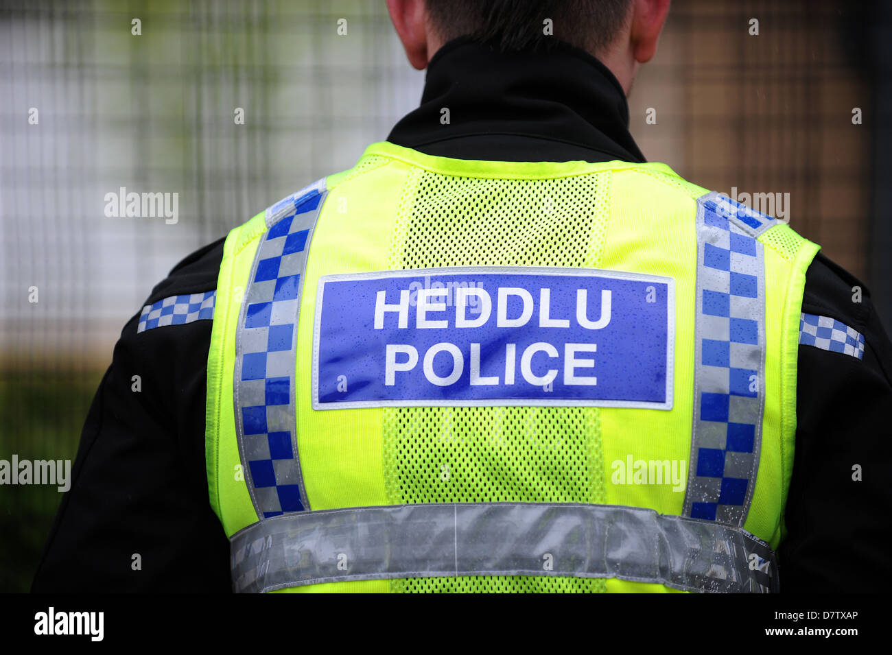 Back of a Welsh police officer Stock Photo - Alamy