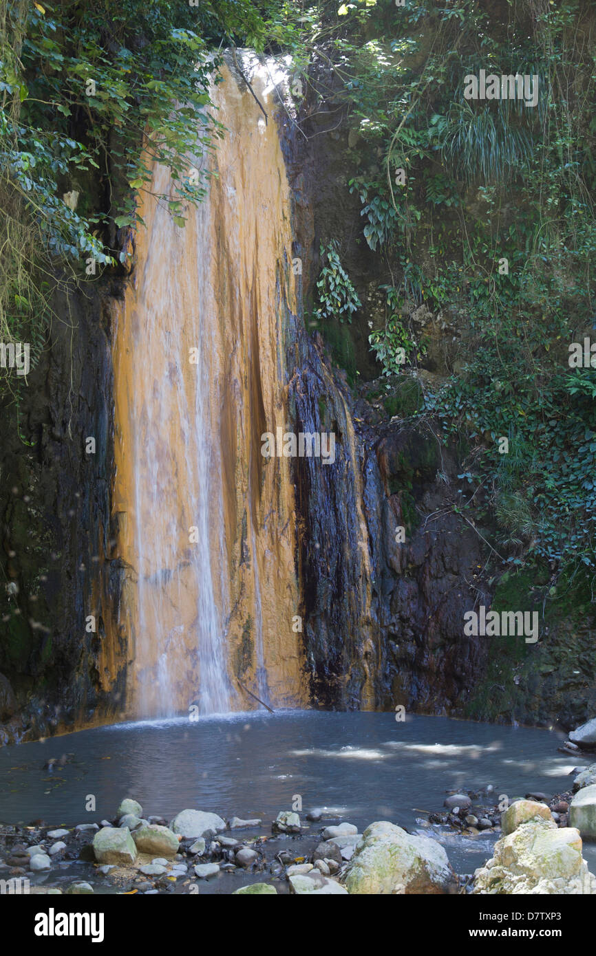 Botanical gardens, Diamond Falls, Soufriere, St. Lucia, Windward ...