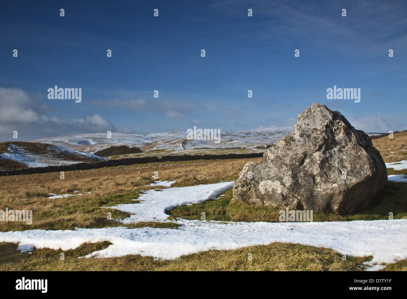 A slab of limestone survives another "ice age" as winter snow melts on ...