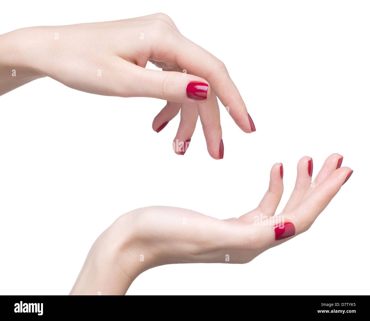 hands with woman's professional red nails manicure isolated on white ...