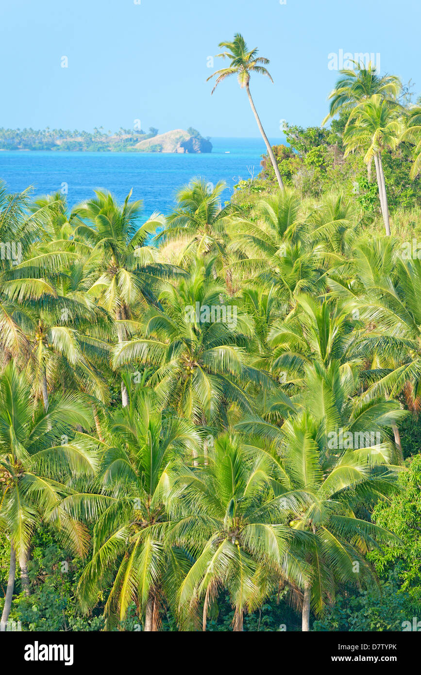 Nanuya Lailai Island, Yasawa island group, Fiji, South Pacific islands ...