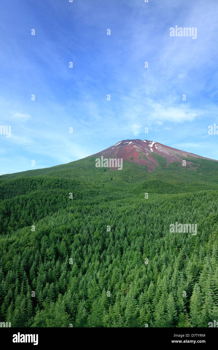 Mount Fuji and forest at summer Stock Photo - Alamy