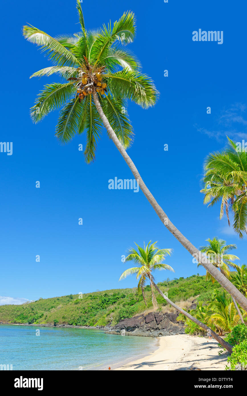 Tropical beach, Drawaqa Island, Yasawa island group, Fiji, South ...