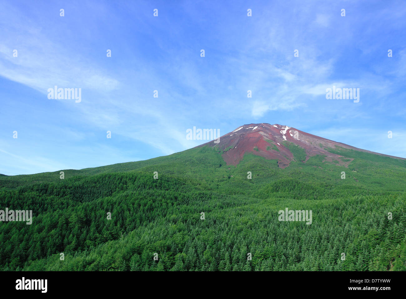 Mount fuji summer hi-res stock photography and images - Alamy