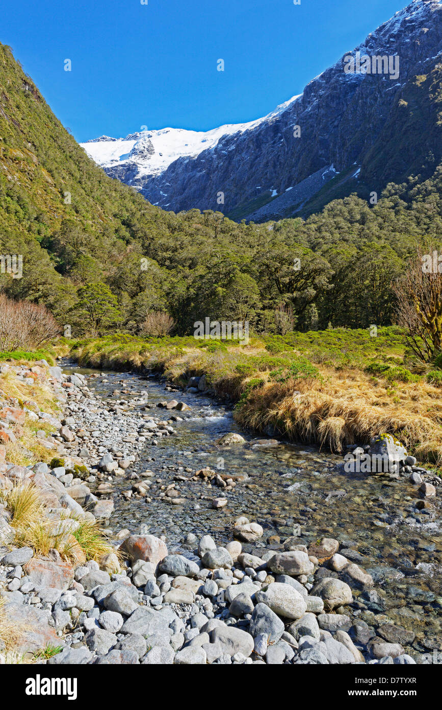 River, Milford Track, Fiordland National Park, UNESCO World Heritage ...